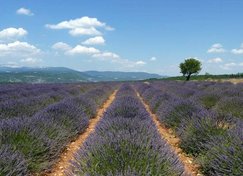 Geografia della Francia: paesaggi, montagne e clima